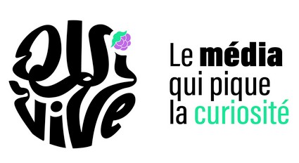 Qui Vive recrute - Description, avantages, offres d'emploi